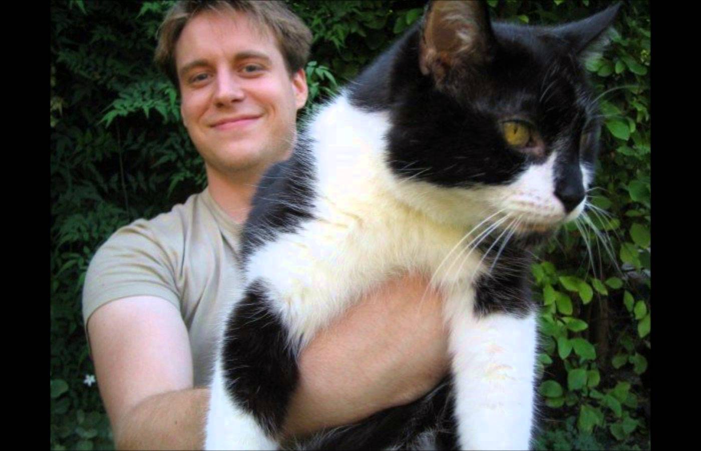 Biggest Cats In The World Alive Biggest Cats In The World Alive