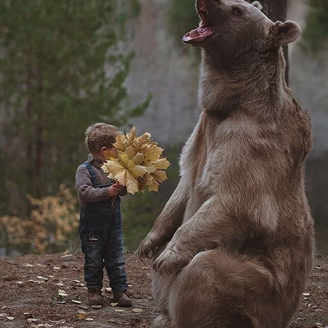 Models Pose With Wild Animals in The Forest & The Scenes Are Absolutely ...