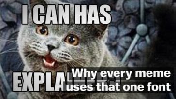 100 Dank Cat Memes Ever That Will Make You Rock n Roll