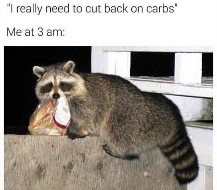 35 Funniest Animal Memes Fit For Best Seller Books