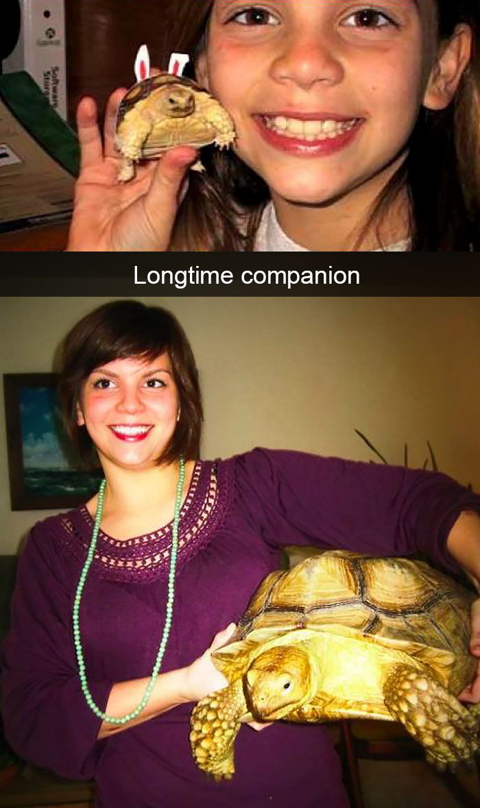 30+ Funny Instagram Stories About Animals