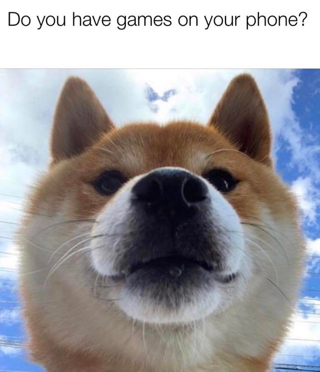 30 Good Dog Memes For All Of You To Enjoy